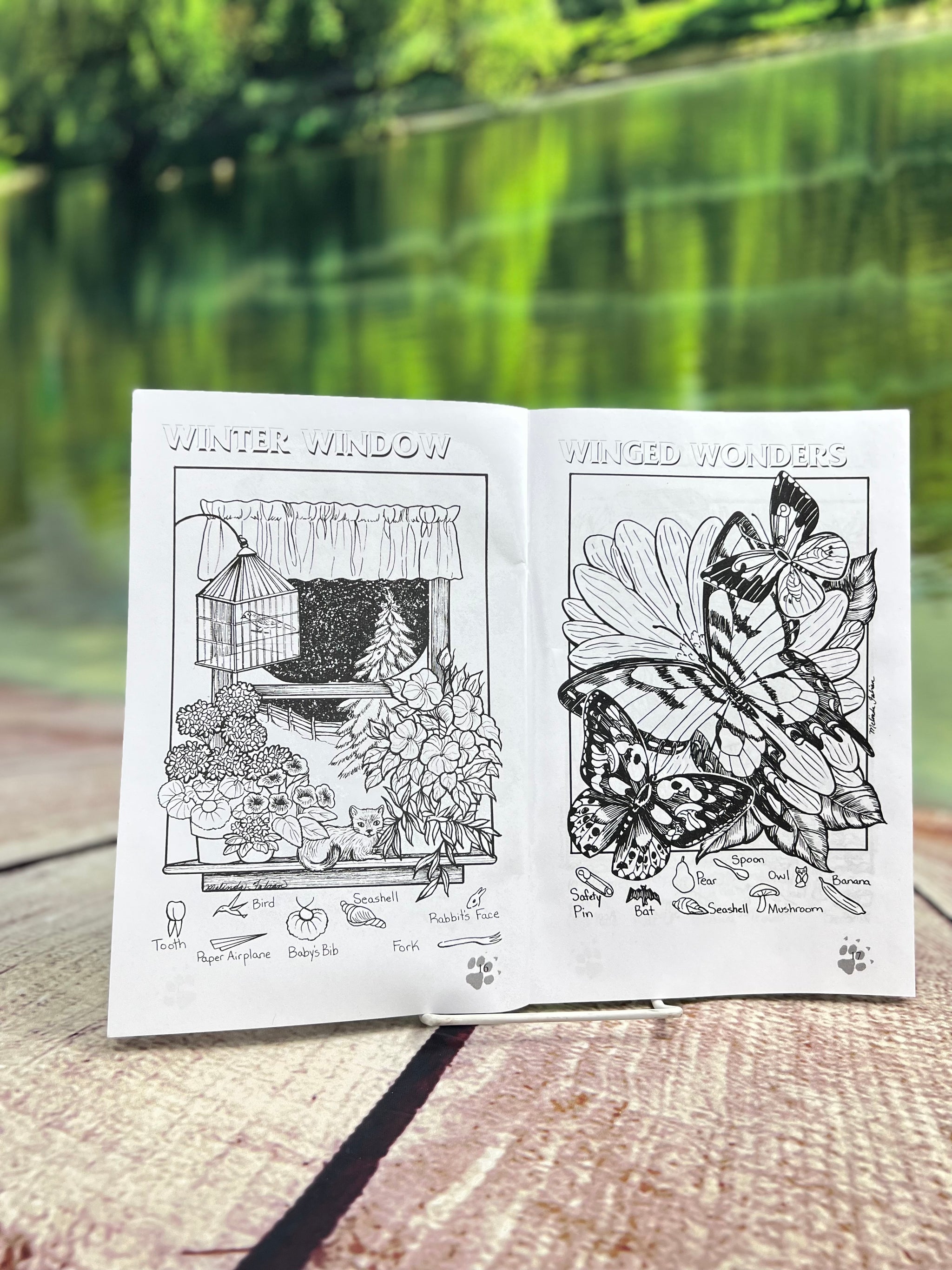 Nature Friend Magazine — Nature's Workshop Plus