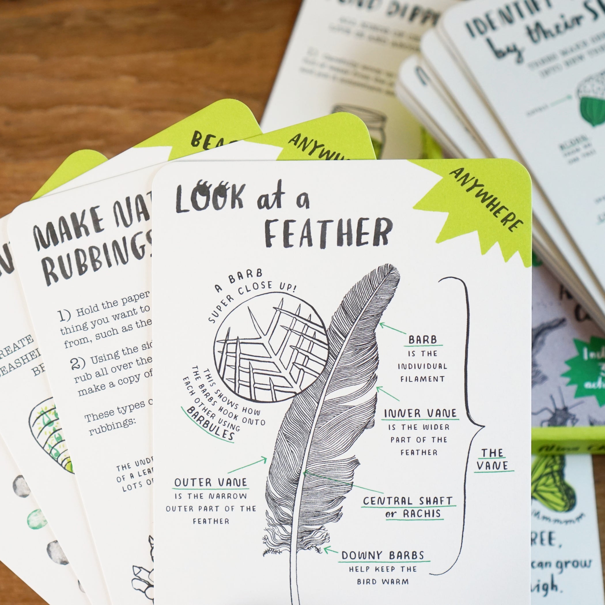 Hello Nature Activity Cards: Outdoor Exploration — Nature's Workshop Plus