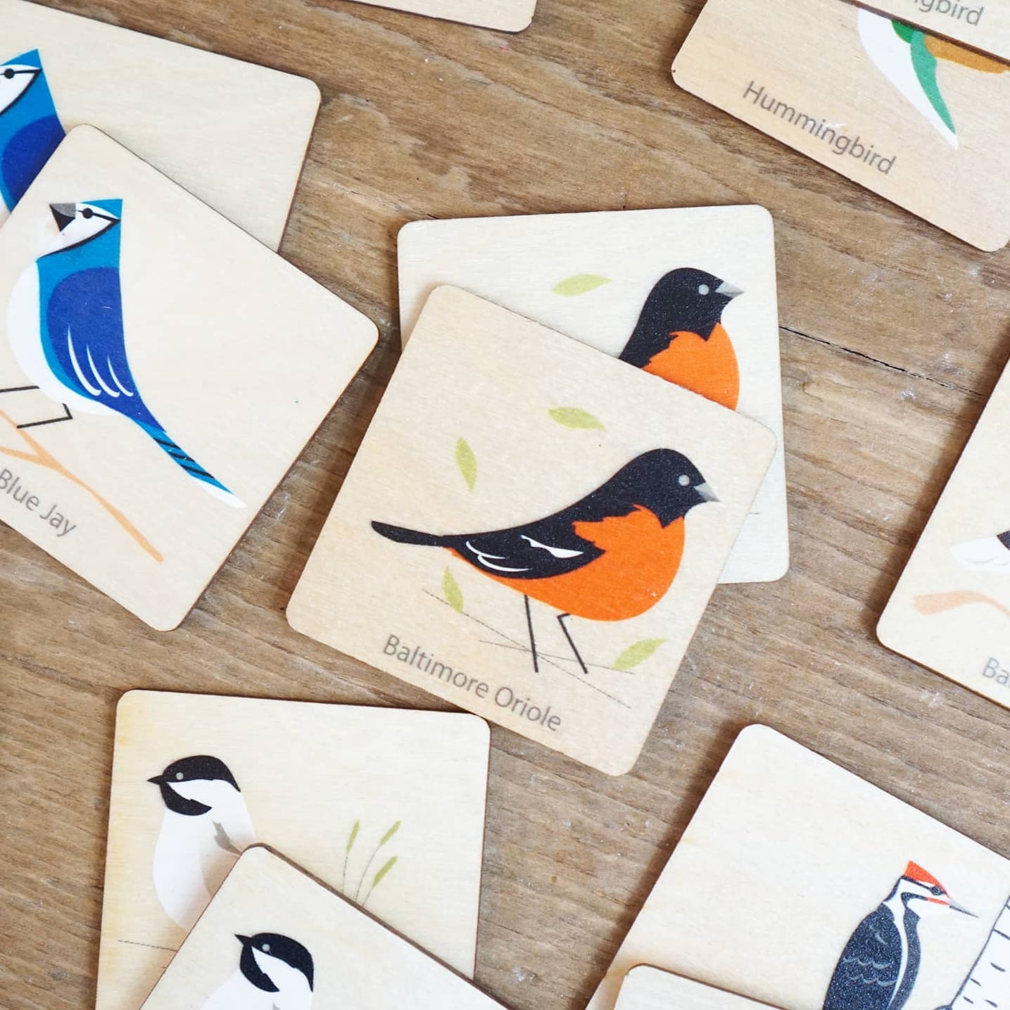 Maple Landmark Bird Memory Game — Nature's Workshop Plus