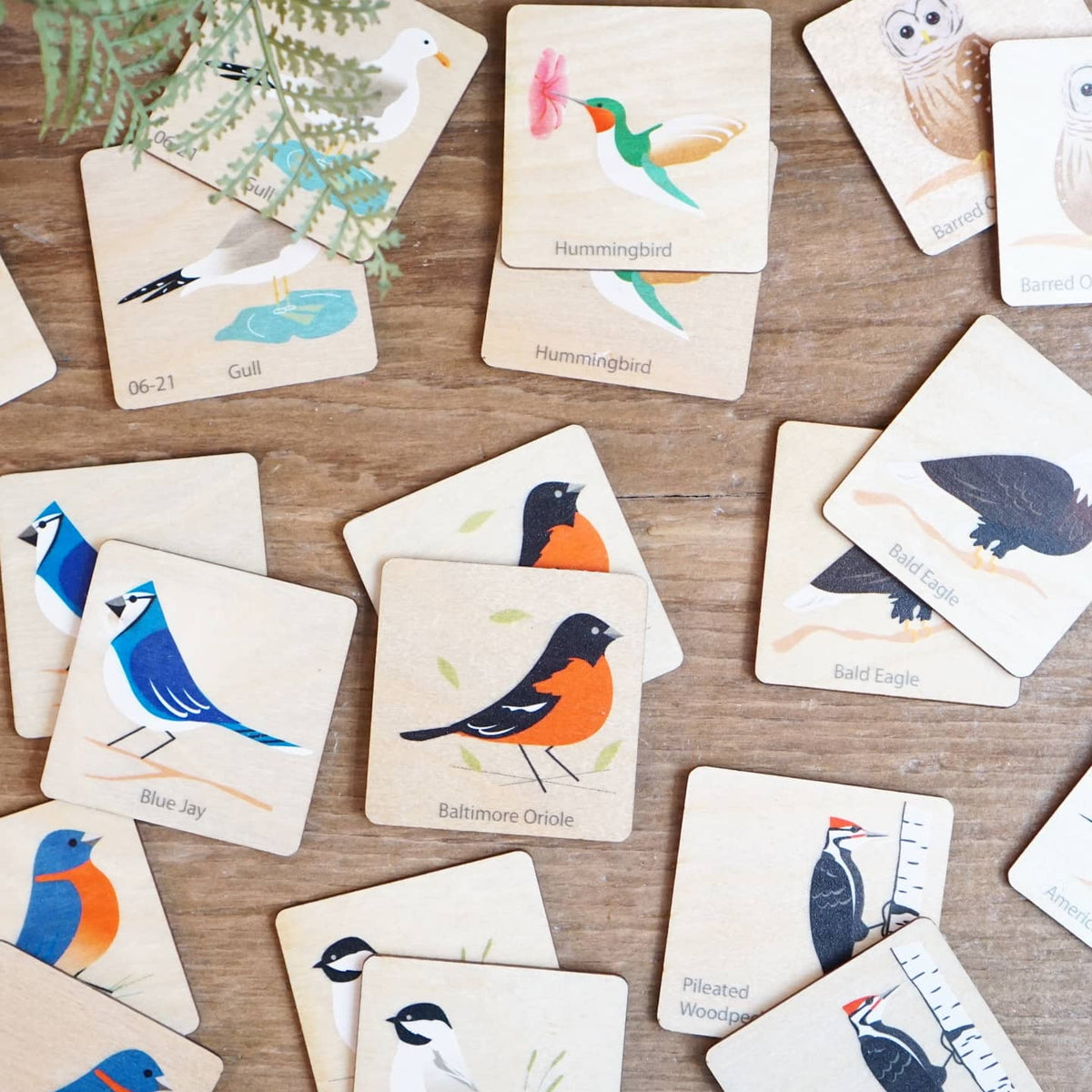 Maple Landmark Bird Memory Game — Nature's Workshop Plus