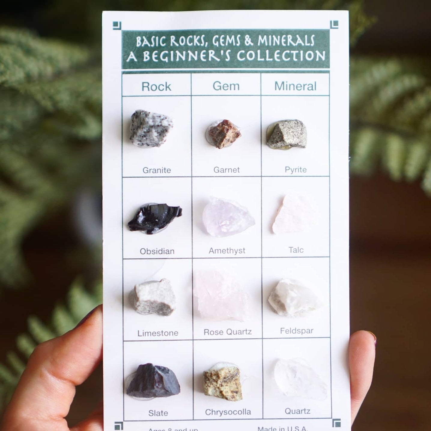 A Basic Beginners Collection — Nature's Workshop Plus