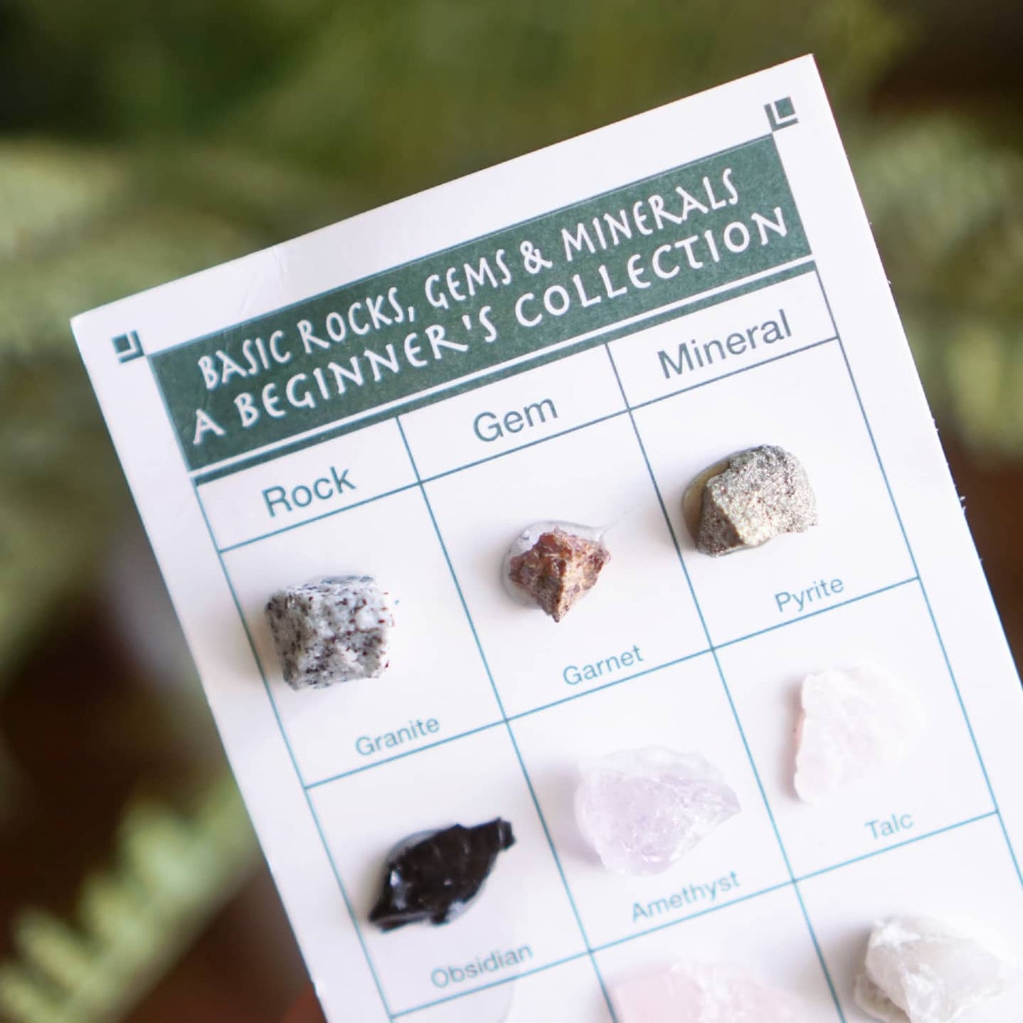 A Basic Beginners Collection — Nature's Workshop Plus