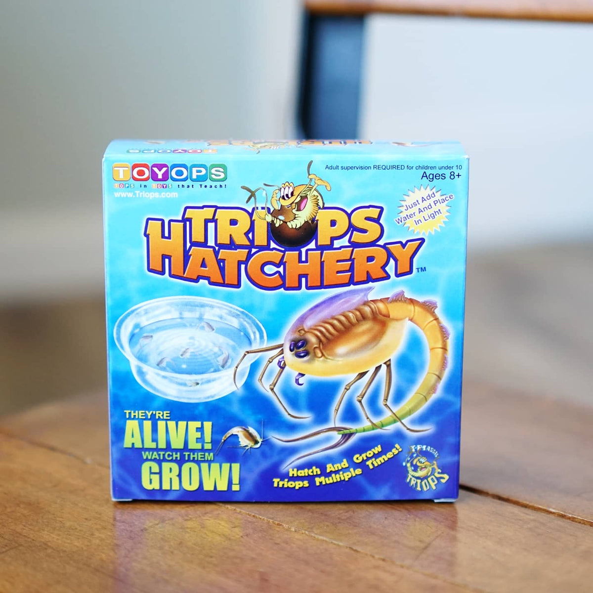 Triops Hatchery Kit - Hatch and grow triops for an exciting science ...