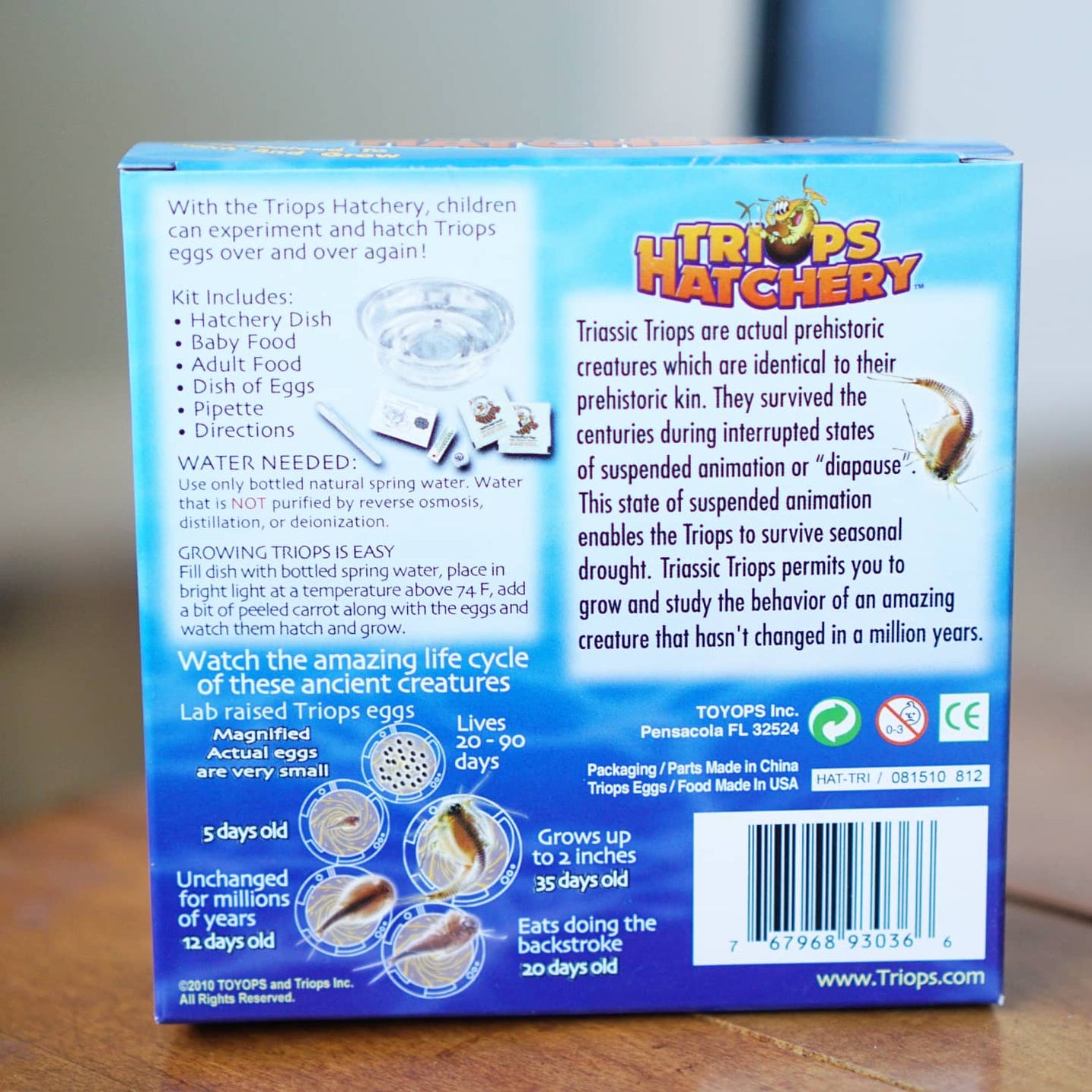 Triops Hatchery Kit - Hatch and grow triops for an exciting science ...