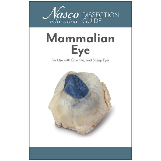 Mammalian Eye Dissection Guide — Nature's Workshop Plus
