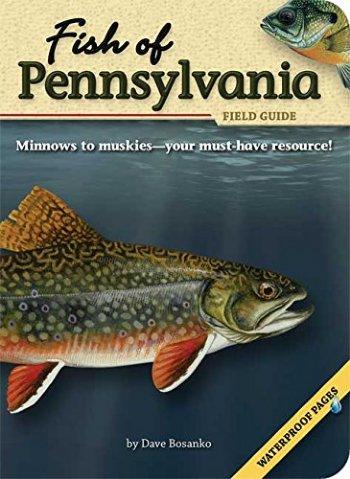 Fish of Pennsylvania Field Guide - Identification Made Easy — Nature's ...