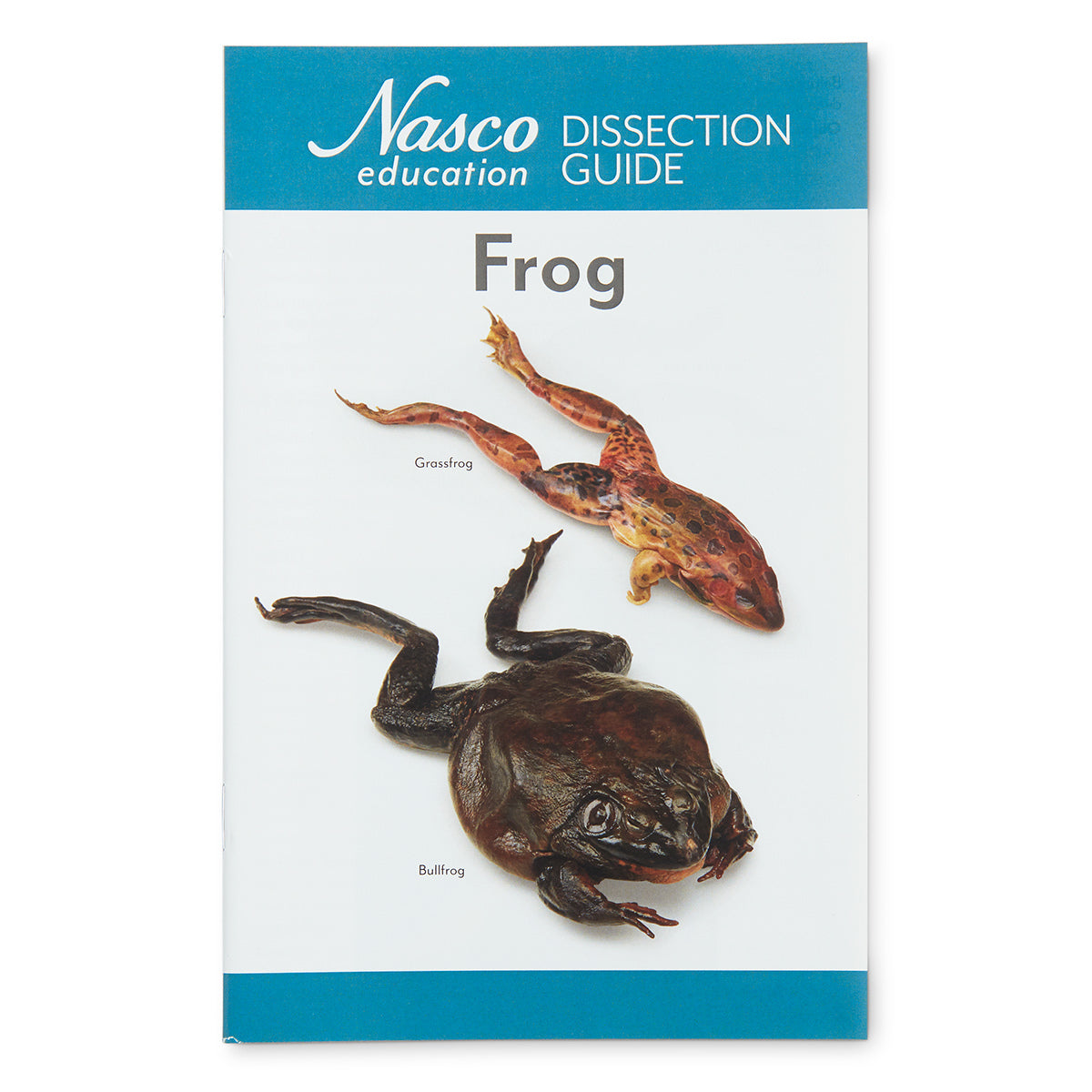 Frog Dissection Guide — Nature's Workshop Plus
