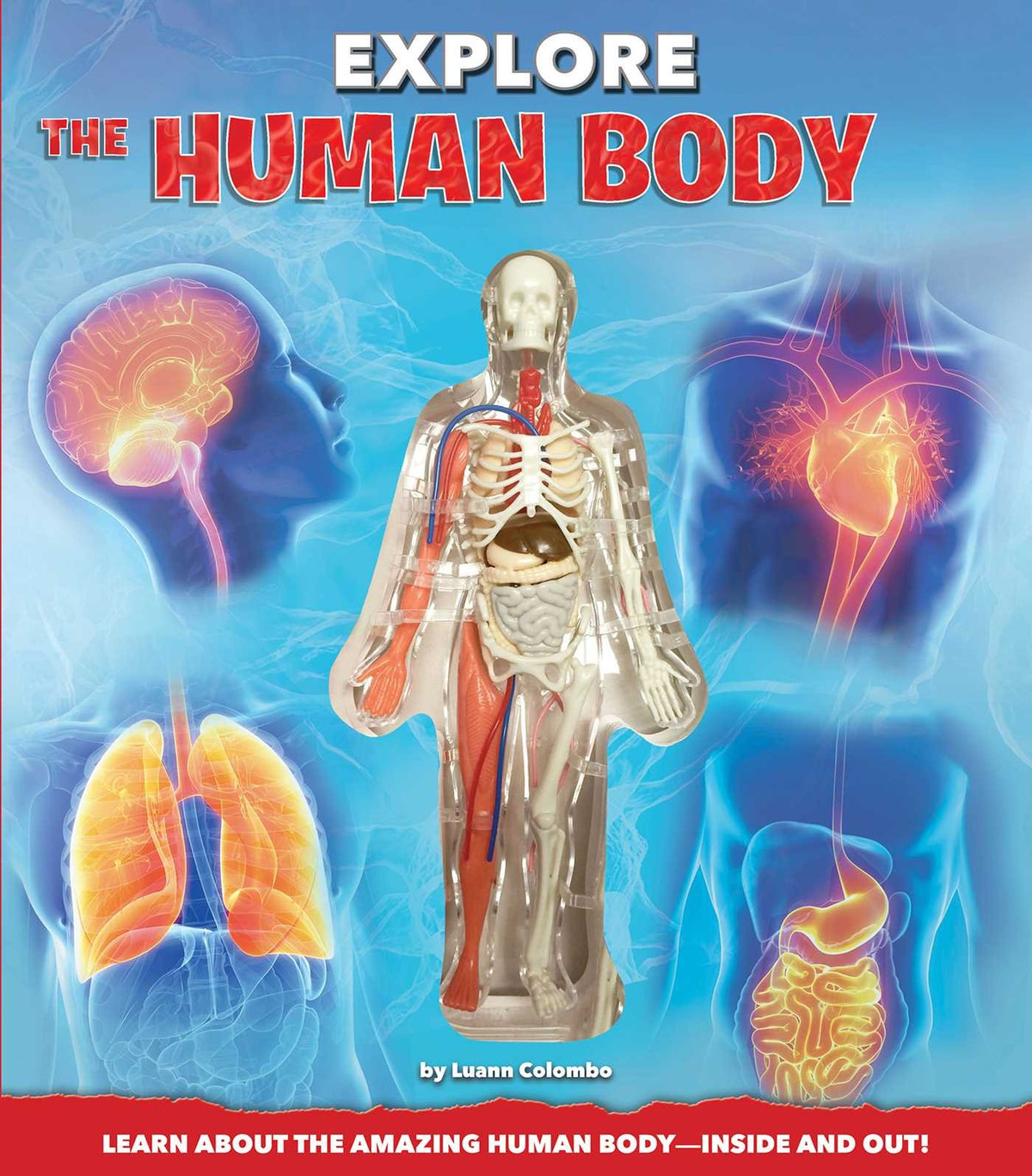 Explore The Human Body - Interactive Learning for Kids — Nature's ...