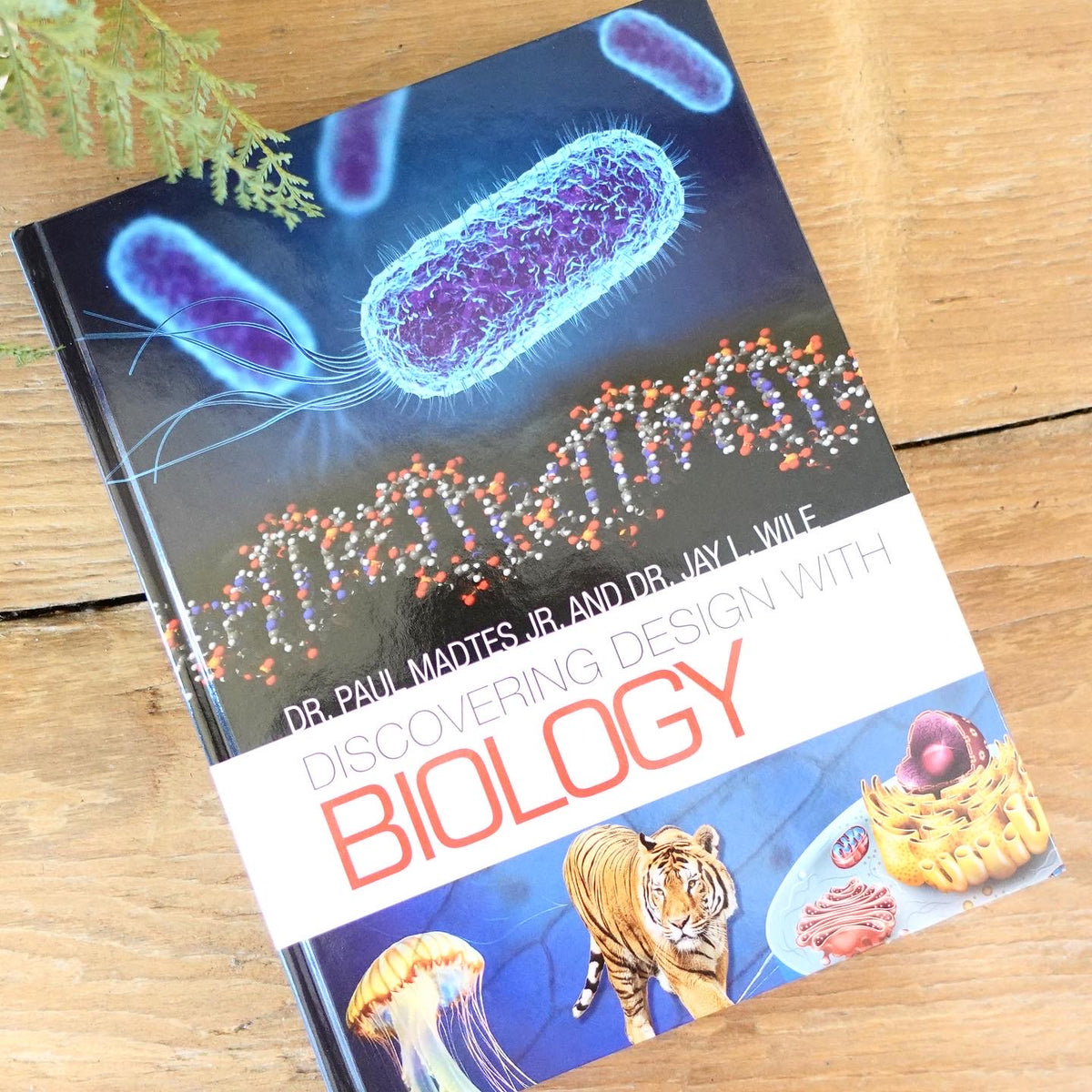 Master Discovering Design w/Biology“ Perfect for Students! — Nature's ...