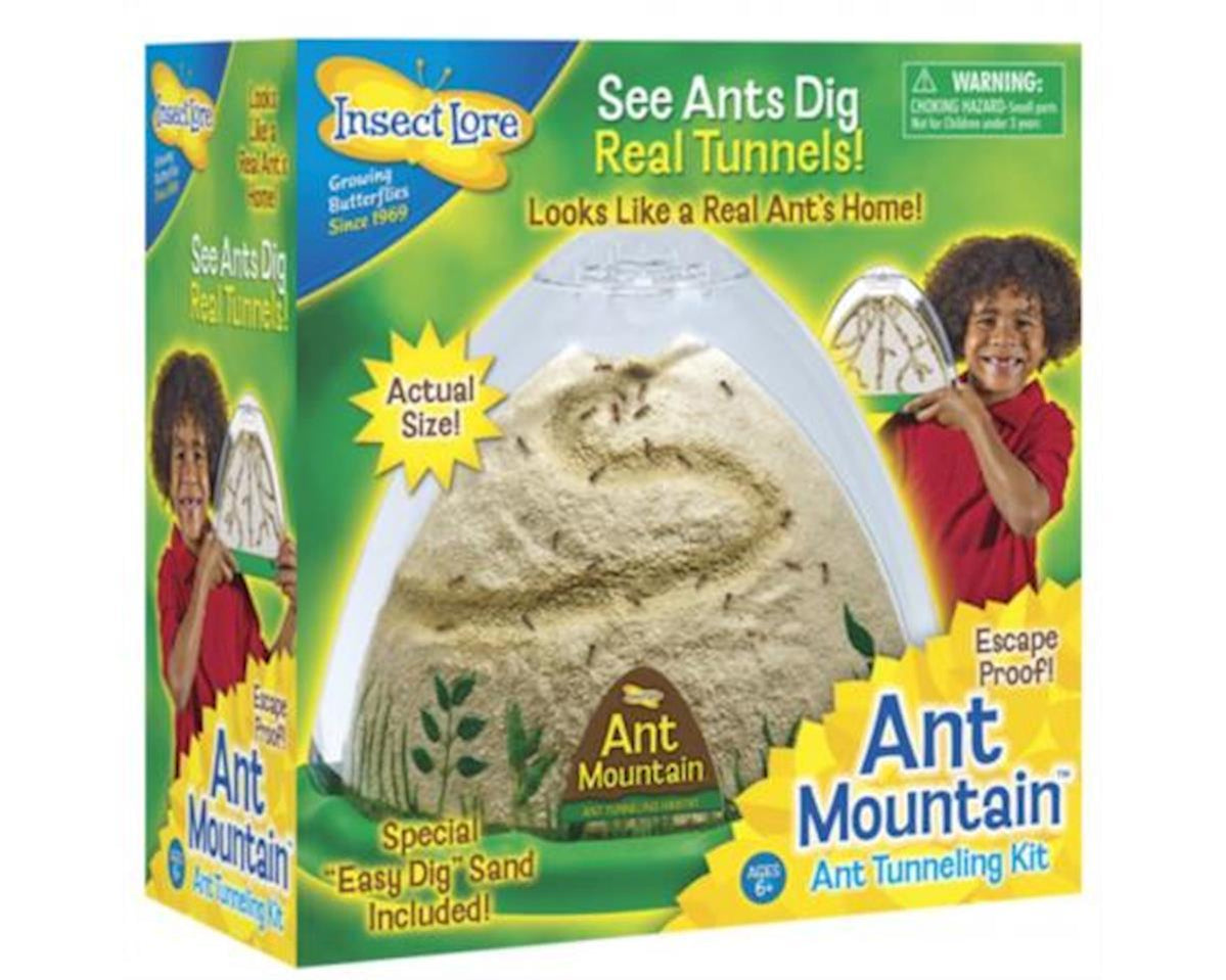 Ant Mountain — Nature's Workshop Plus