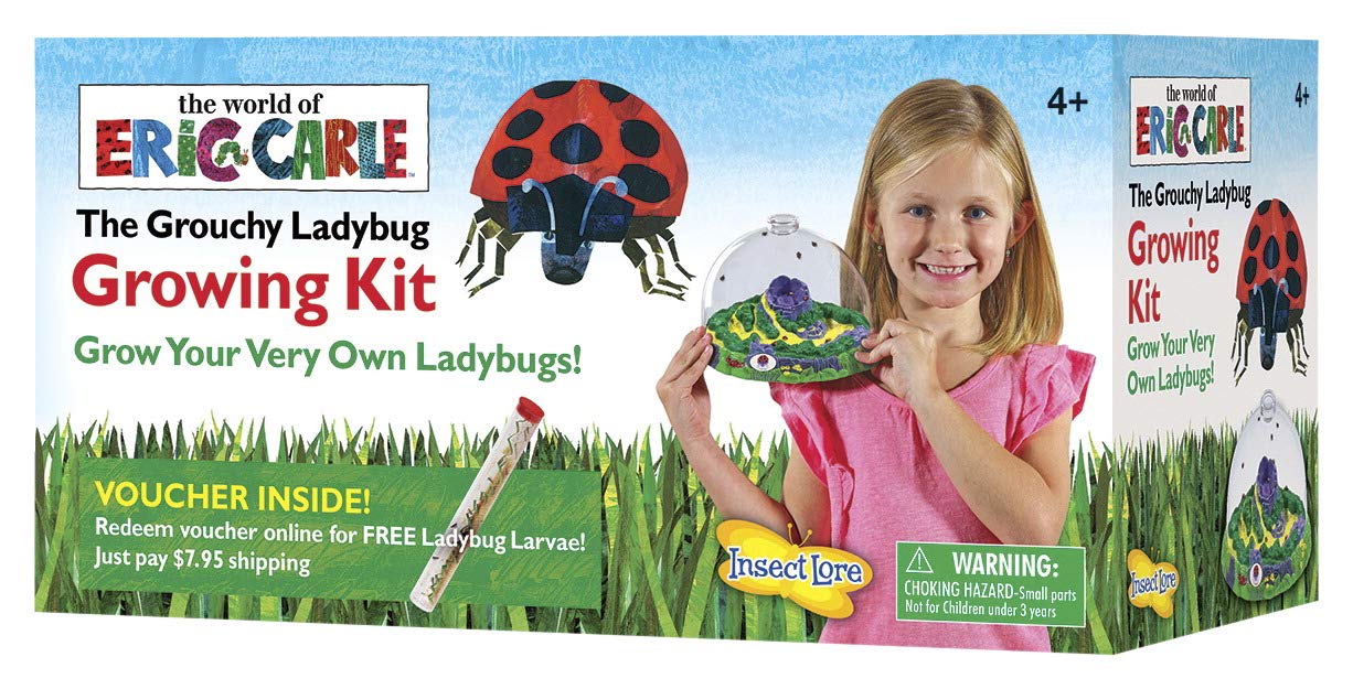 Grouchy Ladybug Growing Kit — Nature's Workshop Plus