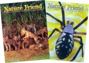 Nature Friend Magazine Sample — Nature's Workshop Plus
