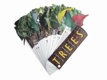 Trees Fandex - Perfect for Learning and Fun — Nature's Workshop Plus