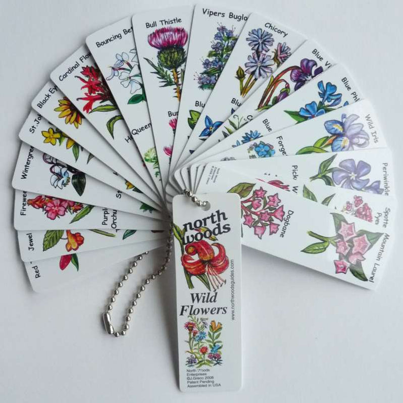 N Woods Wildflower Id Guide — Nature's Workshop Plus